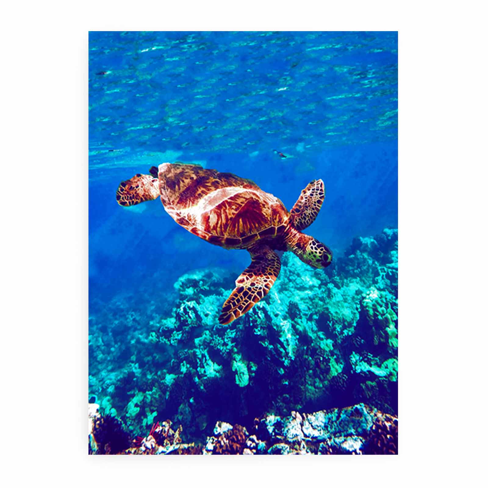 Sea Turtle Original Painting Art Print.