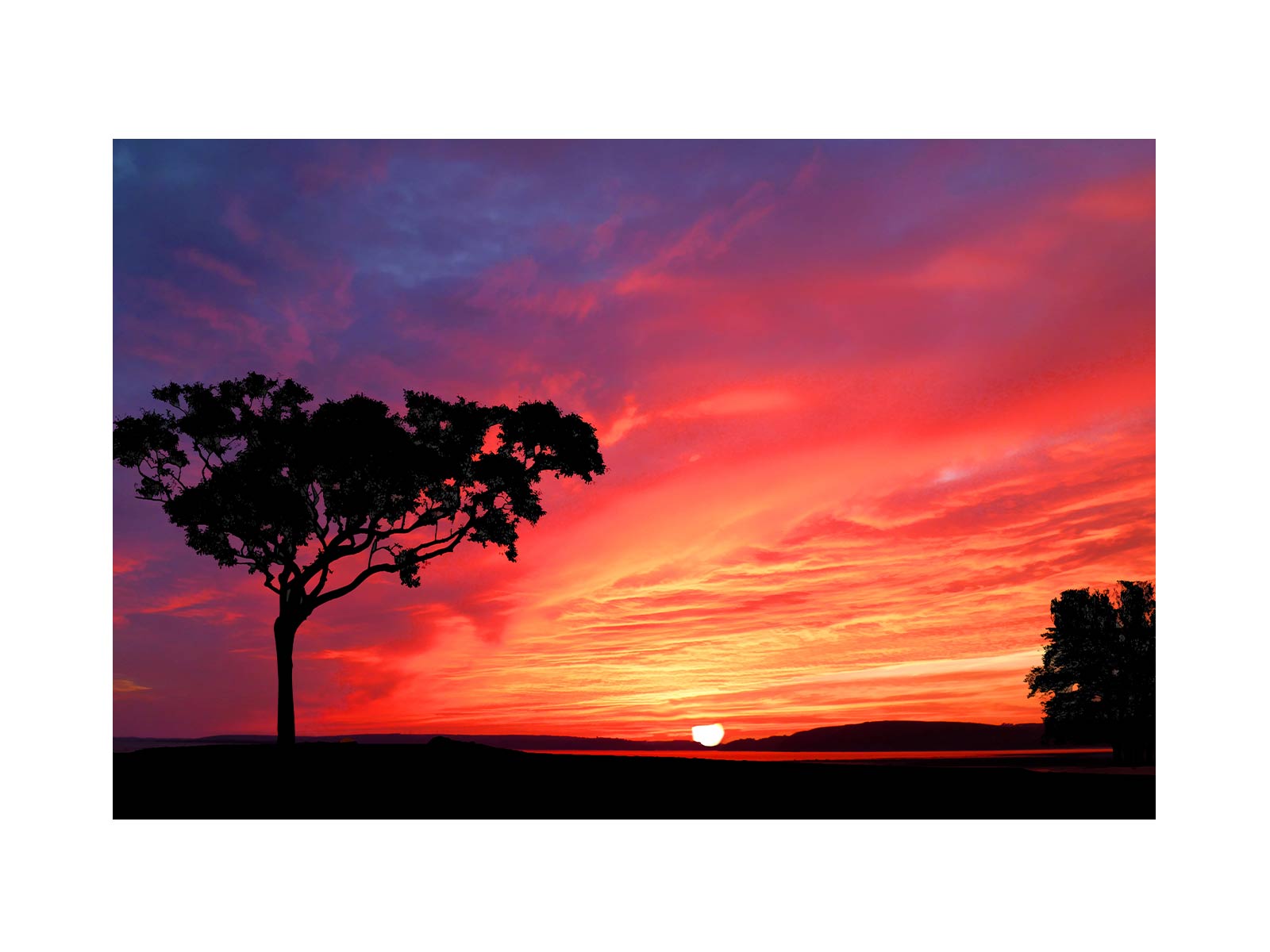 Tree and Sunset Painting Art Print.